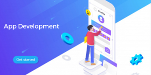 How to Develop a Mobile App Like Instagram And Monetize it?