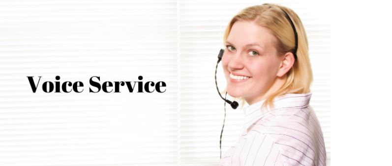 Enterprise Voice Service For Your Business - vervelogic