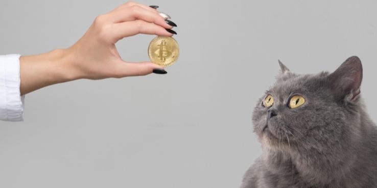 What is bitcoin and how does it function? - vervelogic